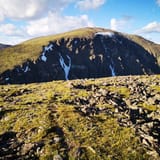 Mount Chapin, Chiquita, and Ypsilon Mountain via Chapin Pass Trail ...
