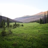 Mount Chapin, Chiquita, and Ypsilon Mountain via Chapin Pass Trail ...