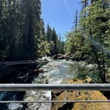 Staircase Rapids Loop, Washington - 2,766 Reviews, Map | AllTrails