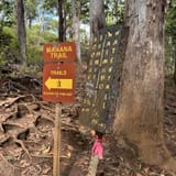 Waimano Falls Trail, Oahu, Hawaii - 5,213 Reviews, Map | AllTrails