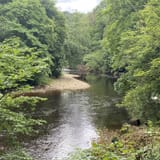 Hackfall Explorer, North Yorkshire, England - 428 Reviews, Map | AllTrails