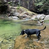 Sabbaday Falls , New Hampshire - 1,563 Reviews, Map | AllTrails