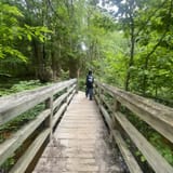 Chapel Beach Loop, Michigan - 791 Reviews, Map | AllTrails