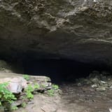Buggytop Trail to Lost Cove Cave, Tennessee - 773 Reviews, Map | AllTrails