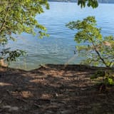 Pickwick Island Loop Trail, Tennessee - 228 Reviews, Map | AllTrails