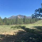 Campbell Mesa Loop, Arizona - 1,329 Reviews, Map | AllTrails