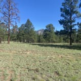 Campbell Mesa Loop, Arizona - 1,365 Reviews, Map | AllTrails