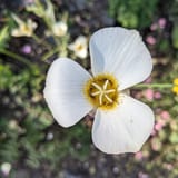 Muir Grove Trail, California - 399 Reviews, Map | AllTrails