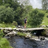 Arthog Waterfalls Circular, Gwynedd, Wales - 23 Reviews, Map | AllTrails