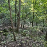 Flint Quarry and Chubb Trail Loop, Missouri - 2,812 Reviews, Map ...