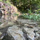 Flint Quarry and Chubb Trail Loop, Missouri - 2,812 Reviews, Map ...