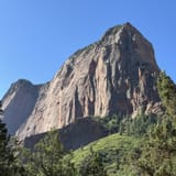 Middle Fork Taylor Creek Trail, Utah - 3,543 Reviews, Map | AllTrails