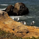 Point Arena-Stornetta Unit of the California Coastal National Monument ...
