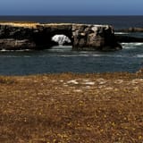 Point Arena-Stornetta Unit of the California Coastal National Monument ...