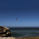 Point Arena-Stornetta Unit of the California Coastal National Monument ...