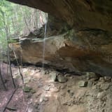 Whispering Cave - Cedar Falls Loop, Ohio - 969 Reviews, Map | AllTrails