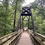 Whispering Cave - Cedar Falls Loop, Ohio - 958 Reviews, Map | AllTrails