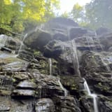 Yellow Branch Falls Trail, South Carolina - 2,863 Reviews, Map | AllTrails