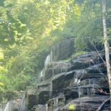 Yellow Branch Falls Trail, South Carolina - 2,863 Reviews, Map | AllTrails