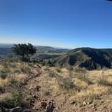 Mount Galbraith Loop via Cedar Gulch Trail, Colorado - 11,392 Reviews ...