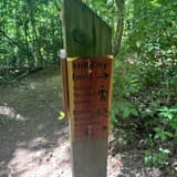 Stringers Ridge via Blue Trail, Tennessee - 1,996 Reviews, Map | AllTrails