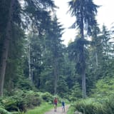 Point Defiance Park Outer Loop, Washington - 4,618 Reviews, Map | AllTrails