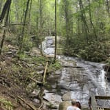 Fall Branch Falls Trail, Georgia - 1,409 Reviews, Map | AllTrails