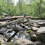 Wildcat Falls, New Hampshire - 2,175 Reviews, Map | AllTrails