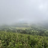 Max Patch Loop, North Carolina - 2,328 Reviews, Map | AllTrails