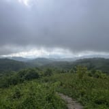 Max Patch Loop, North Carolina - 2,363 Reviews, Map | AllTrails