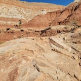 Toadstool Hoodoos Trail, Utah - 4,250 Reviews, Map | AllTrails