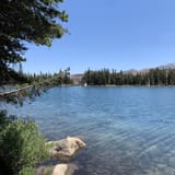 McLeod Lake Trail, California - 947 Reviews, Map | AllTrails