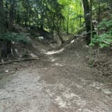 Aman Park Loop, Michigan - 1,677 Reviews, Map | AllTrails
