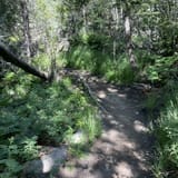 Twin Owls via Lumpy Ridge Loop, Colorado - 1,431 Reviews, Map | AllTrails