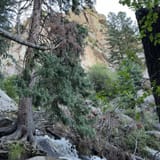 Thomas Trail Loop, Colorado - 1,258 Reviews, Map | AllTrails