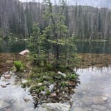 Trampas Lakes Trail, New Mexico - 570 Reviews, Map | AllTrails