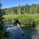 Gold Creek Pond Loop, Washington - 2,680 Reviews, Map | AllTrails