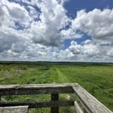 Bolen Bluff Trail, Florida - 1,011 Reviews, Map | AllTrails