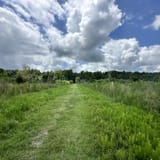 Bolen Bluff Trail, Florida - 1,011 Reviews, Map | AllTrails