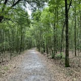 Bolen Bluff Trail, Florida - 1,011 Reviews, Map | AllTrails