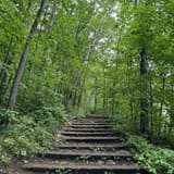 Mount Royal Park Loop, Quebec, Canada - 2,073 Reviews, Map | AllTrails