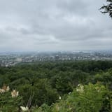 Mount Royal Park Loop, Quebec, Canada - 2,073 Reviews, Map | AllTrails
