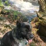 Congdon Park, Minnesota - 522 Reviews, Map | AllTrails