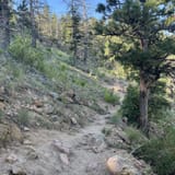 Mount Galbraith Loop via Cedar Gulch Trail, Colorado - 11,392 Reviews ...