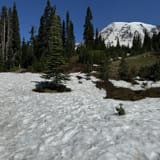 Myrtle Falls Viewpoint via Skyline Trail, Washington - 4,415 Reviews ...
