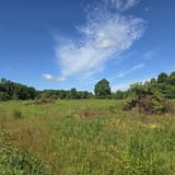 Cincinnati Nature Center Loop, Ohio - 1,484 Reviews, Map | AllTrails
