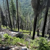 Silver Falls Trail, Washington - 262 Reviews, Map | AllTrails