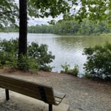 Lake Pine Loop, North Carolina - 1,291 Reviews, Map | AllTrails