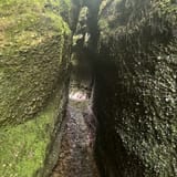 Nelson's Ledges Trail, Ohio - 647 Reviews, Map | AllTrails