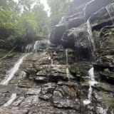 Yellow Branch Falls Trail, South Carolina - 2,863 Reviews, Map | AllTrails